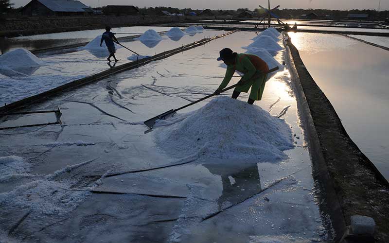 Hingga September 2020, Sebanyak 738.000 Ton Garam Rakyat Tidak Terserap