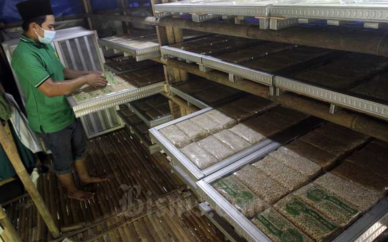 Santri Pondok Pesantren Sirajussa\'adah di Depok Membuat Tempe Untuk ...