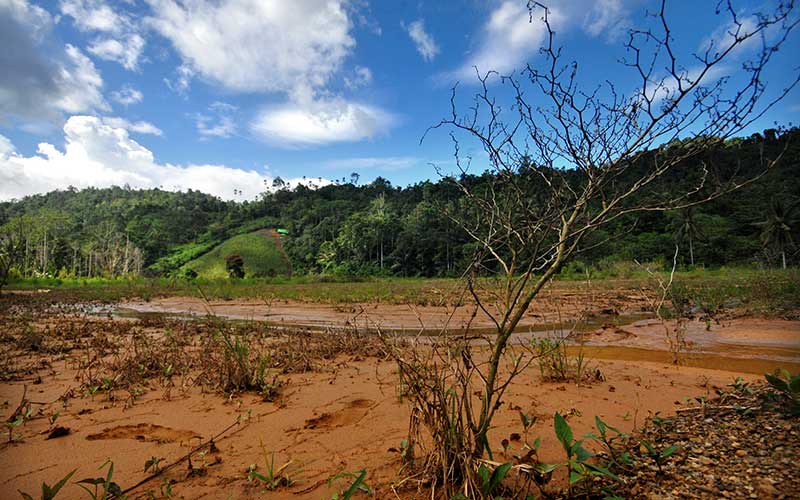 Lahan Pertanian Di Sulawesi Utara Rusak Akibat Terkena Limbah Tambang Emas