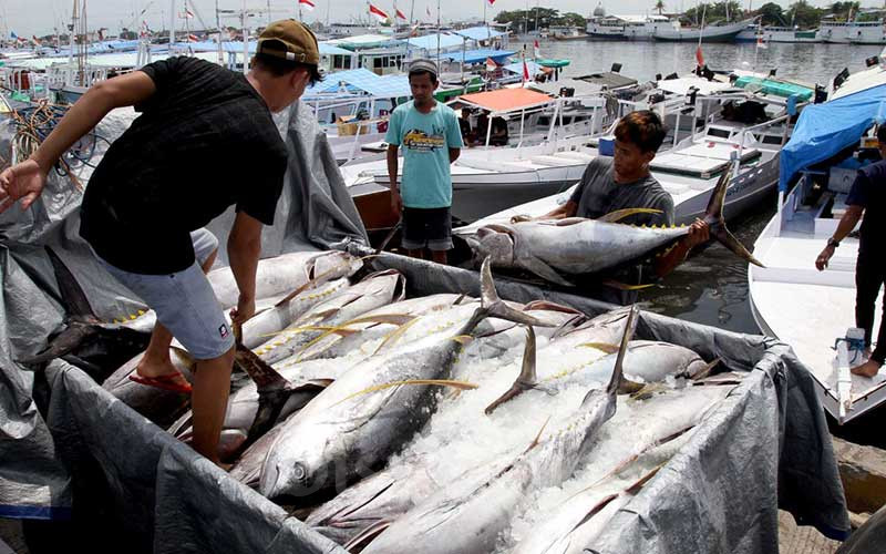 Makassar Peringat Ke-3 Terhadap Ekspor Hasil Perikanan di Indonesia