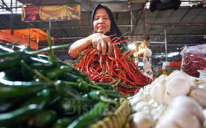 Jelang Natal dan Tahun Baru 2022, Harga Cabai Rawit Naik Dua Kali Lipat