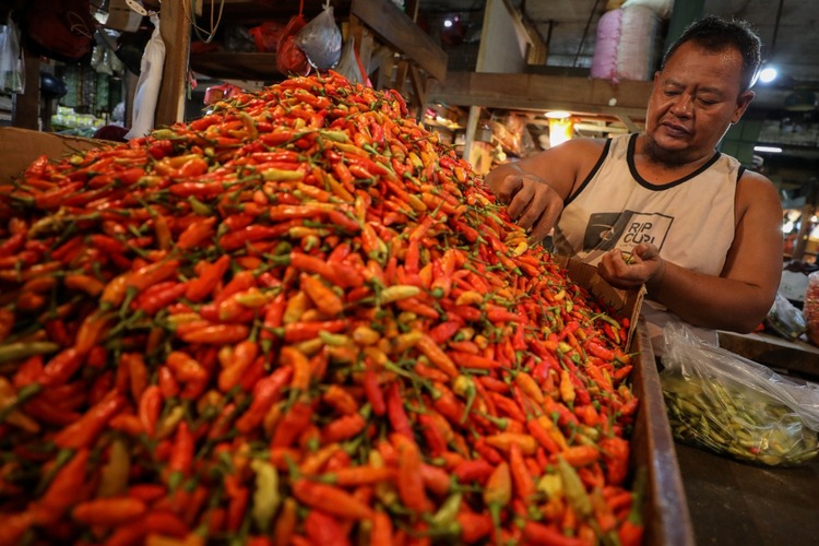 Harga Cabai Mengalami Kenaikan Signifikan