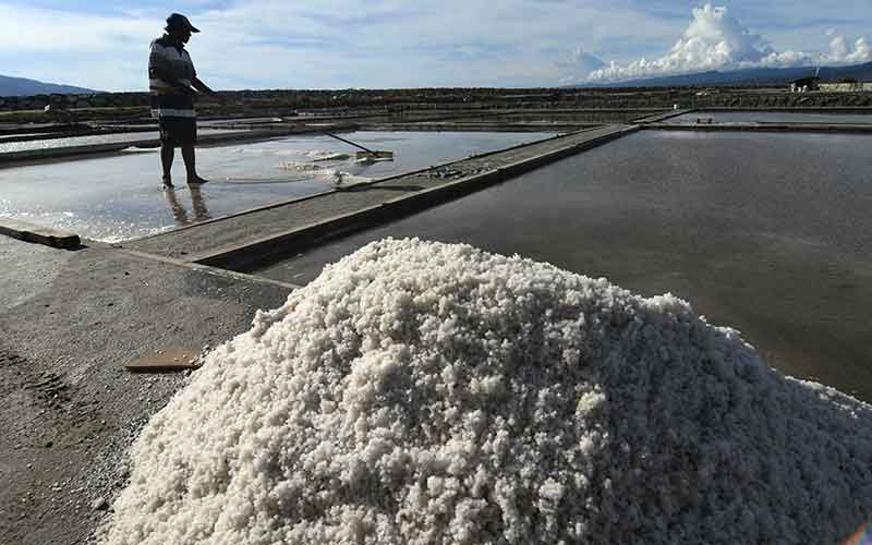 Produksi Garam di Palu Mulai Membaik