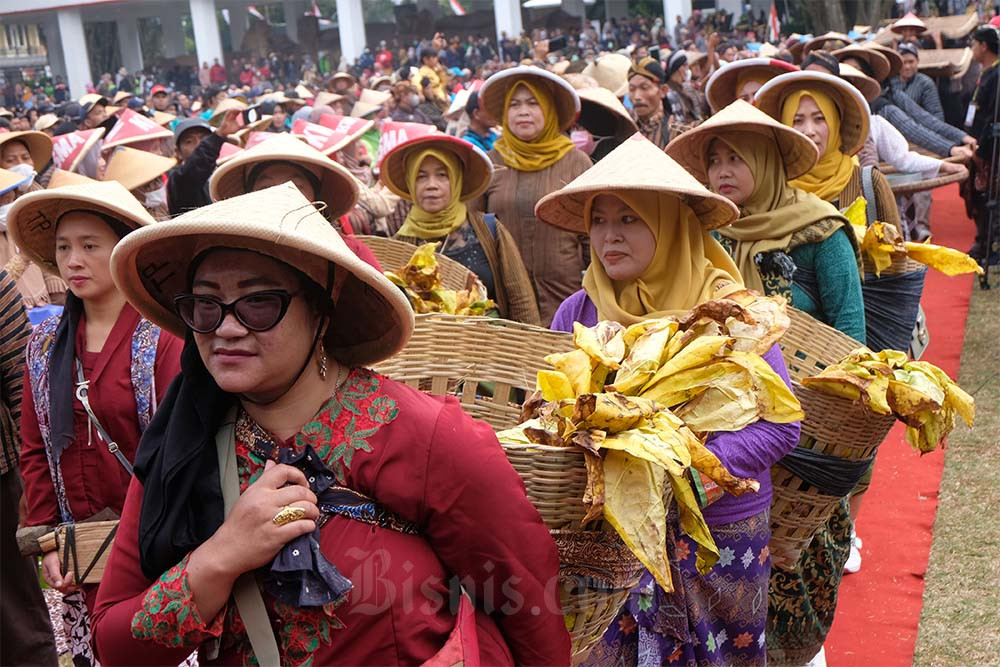 Tasyakuran Wiwit Mbako Panen Kopi