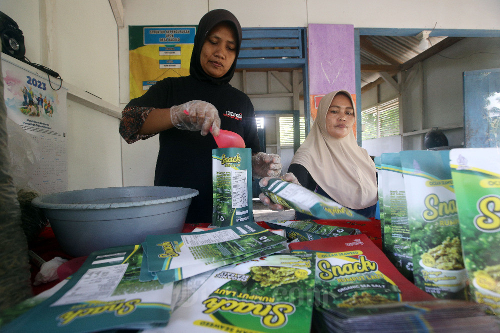 UMKM Binaan Bank BJB Mampu Mengolah Rumput Laut Menjadi Snack Dengan ...