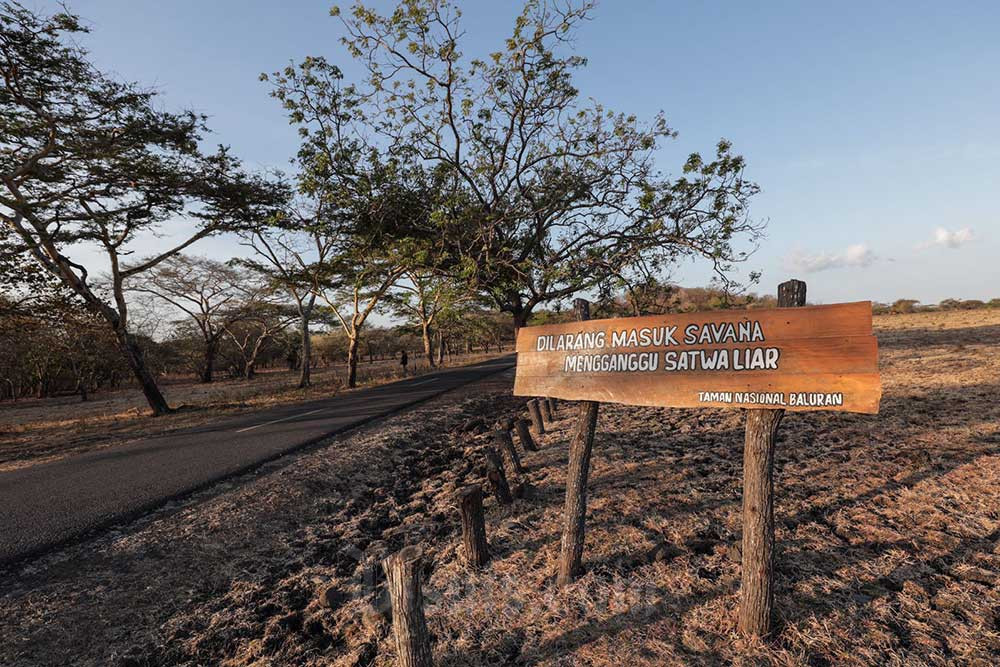 Keindahan Taman Nasional Baluran, Afrikanya Indonesia