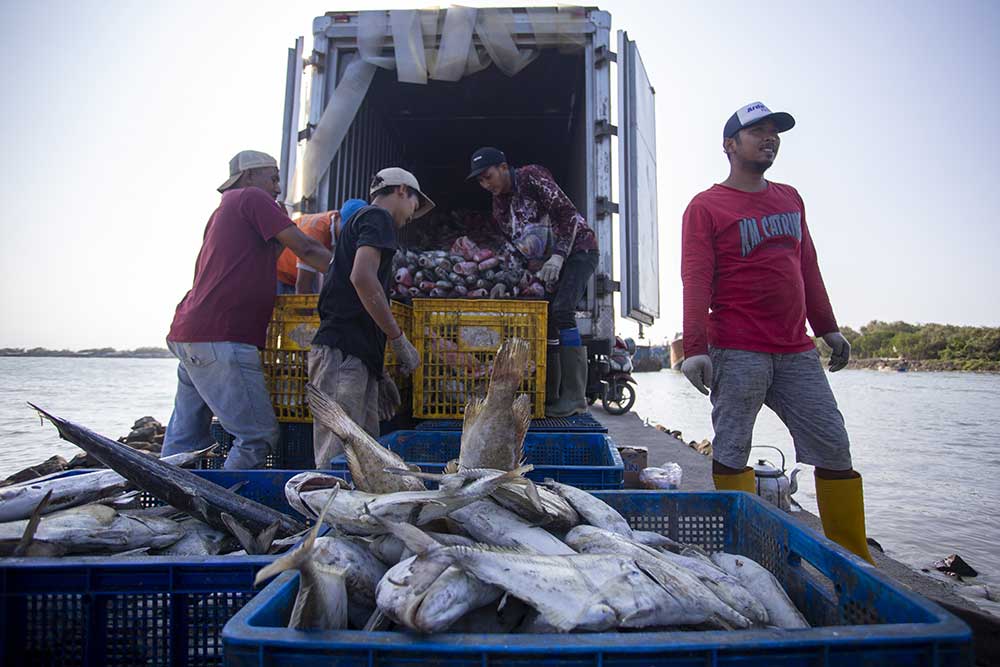 Ekspor Produk Perikanan Indonesia Mencapai US$4,1 Piliar Pada Triwulan ...