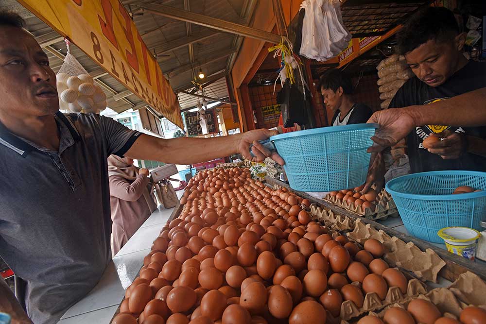 Harga Telur Ayam Terus Naik Hingga Rp29 Ribu Per Kilogram