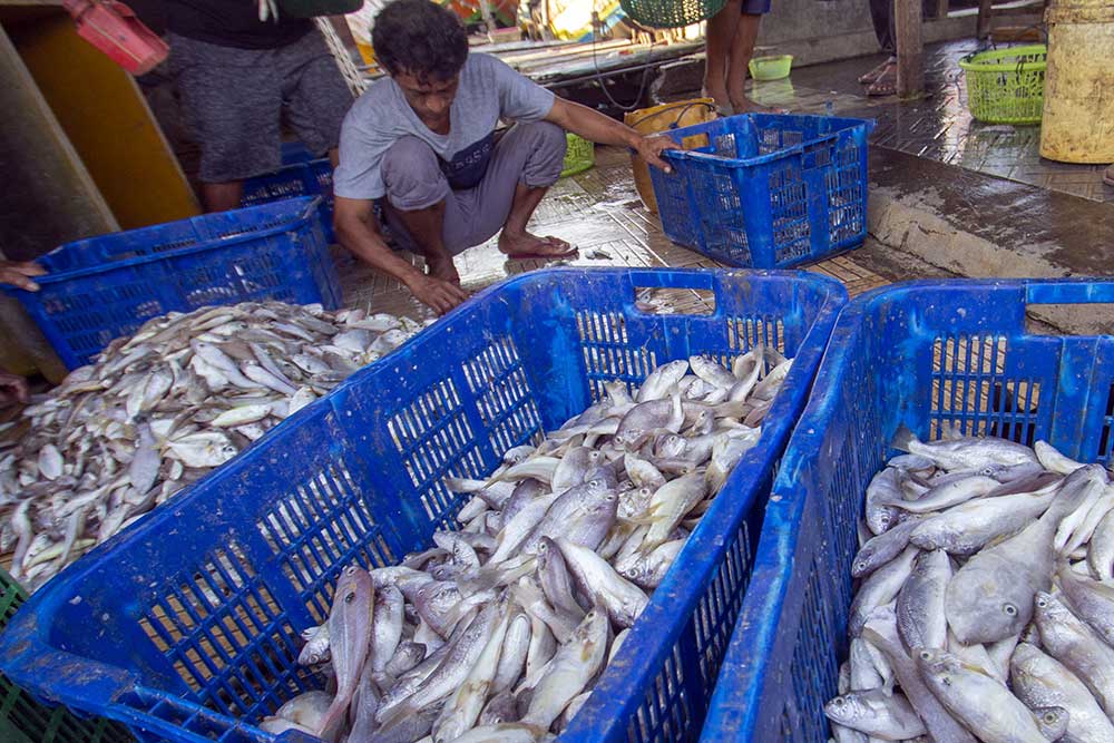 produksi perikanan tangkap pada semester I/2024 melampaui target