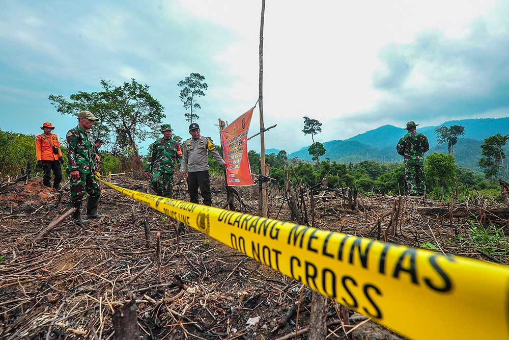 Kebakaran Lahan Sawit Ilegal di Kawasan Taman Nasional Bukit Tigapuluh Jambi