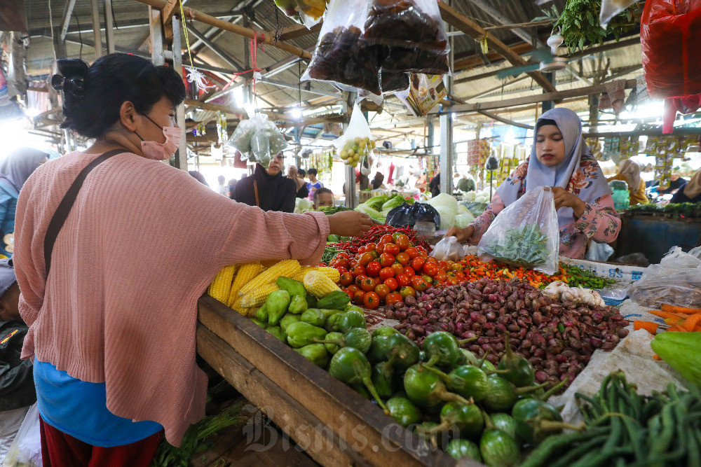 BPS Mencatat IHK Pada Februari Mengalami Deflasi 0,48%