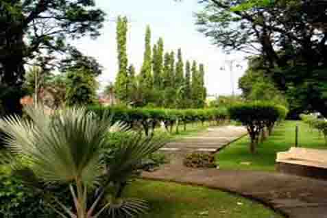 Ruang Terbuka Hijau Jakarta Belum Mencapai 30%