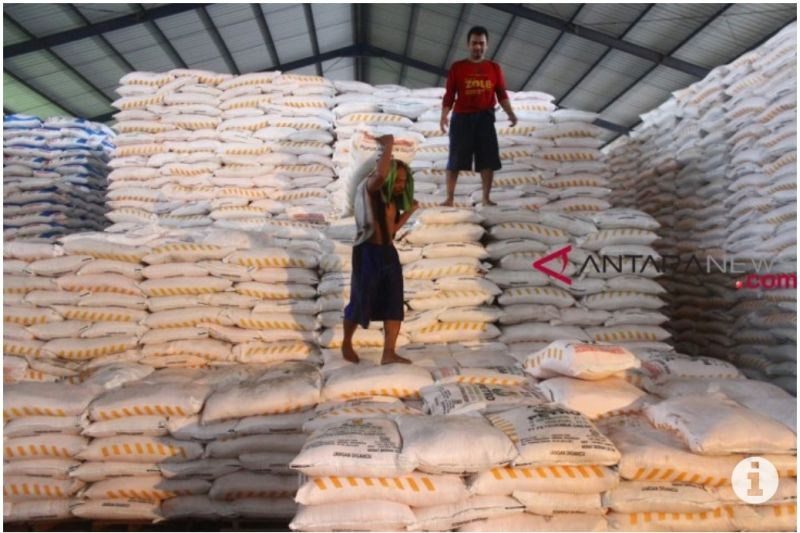 Benang Kusut Tata Kelola Pupuk Bersubsidi