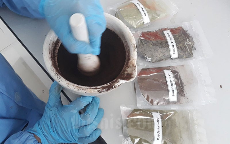 Meniti Jalan Pengembangan Obat Tradisional Menjadi Obat Modern