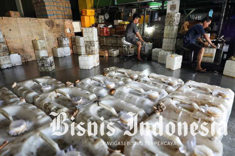 Simirah Mulai Melimpah, Harusnya Minyak Goreng Tak Lagi Susah