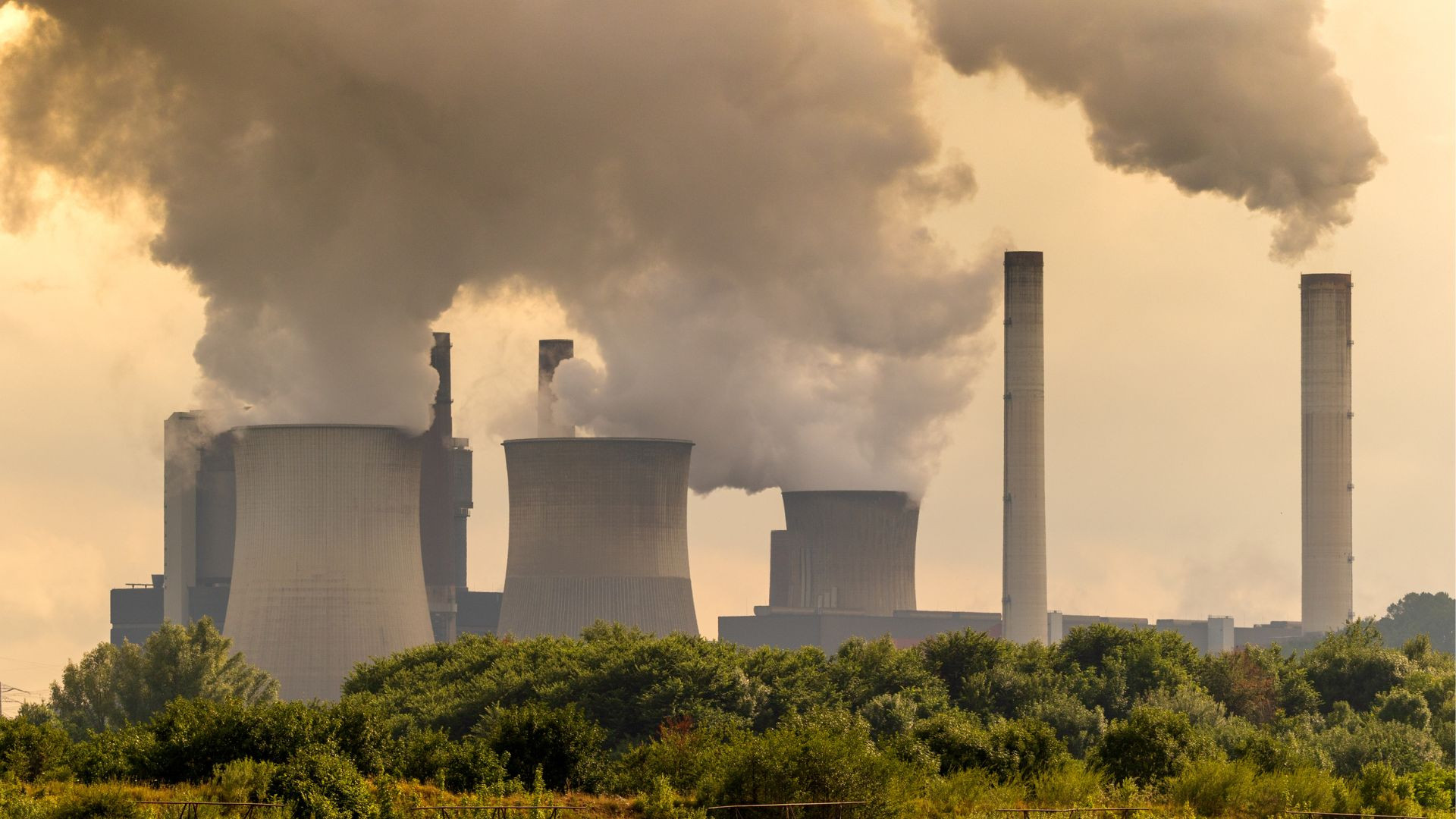 Jalan Terjal Mengejar Target Bebas Emisi