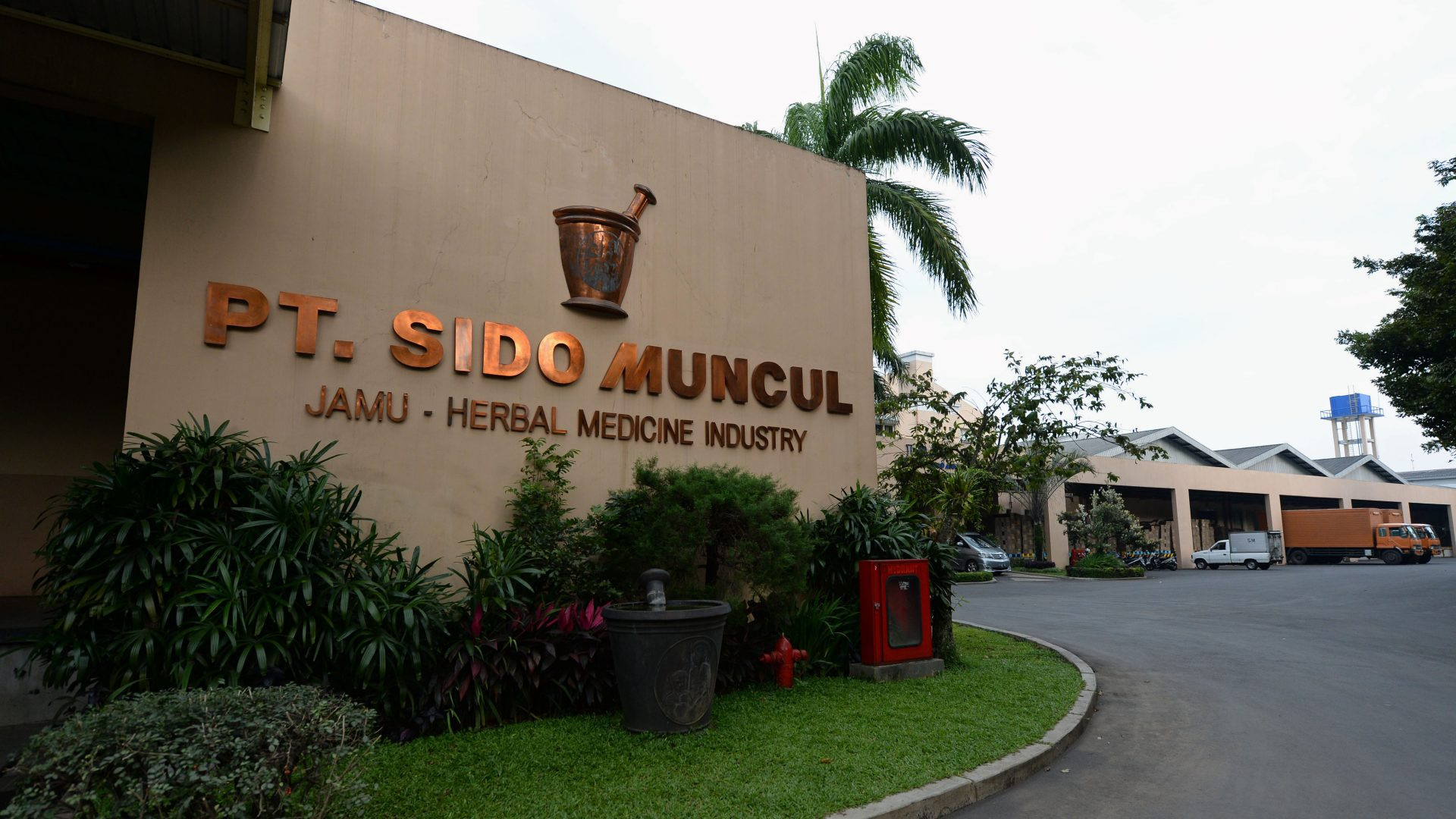 Pemulihan Sido Muncul (SIDO) dari Rapor yang Masuk Angin