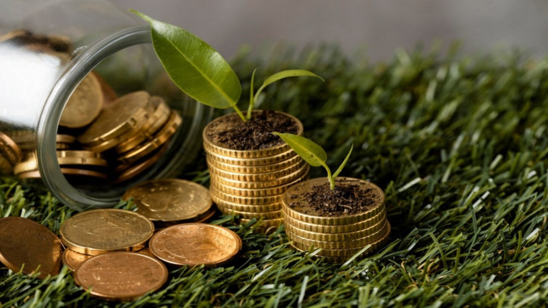 State-Owned Banks Sustain Momentum in Green Financing