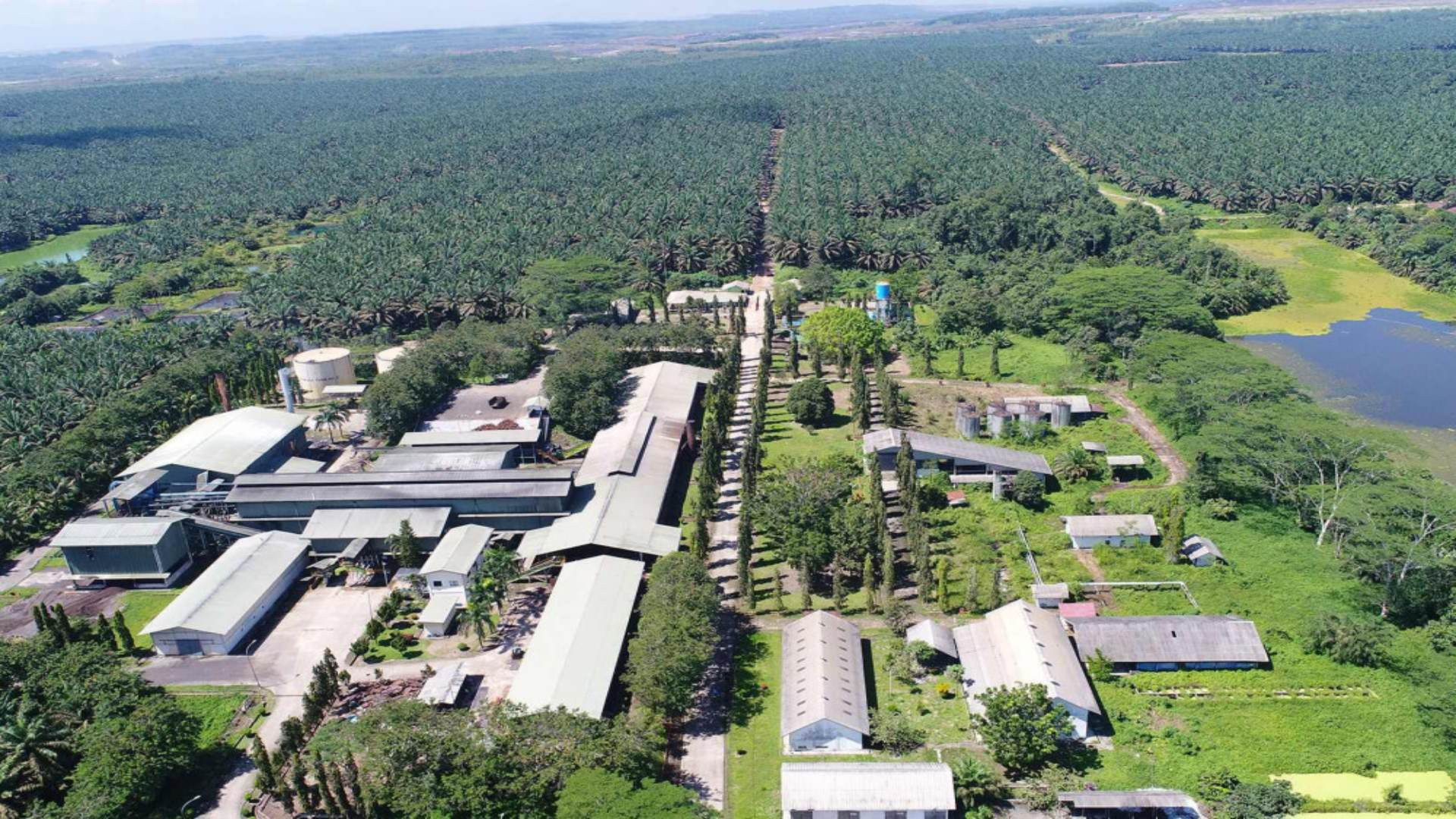 Investor Jumbo yang Utak-atik Kepemilikan di Saham Alamtri Resources (ADRO)