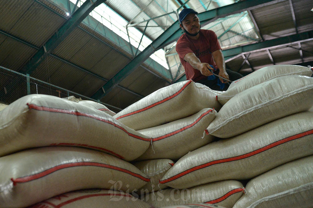 Harga Pangan Hari Ini 13 November: Harga Beras & Daging Sapi Kompak Naik