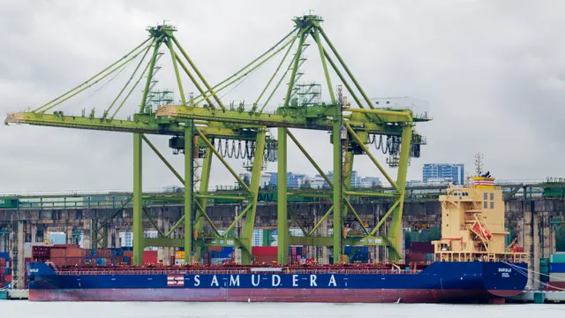 Prospects, Dividend Outlook for Samudera Indonesia (SMDR) in 2026