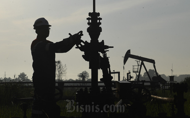 Capaian Satu Tahun Pengelolaan Blok Rokan - Bisnis.com