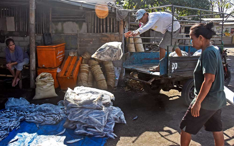 Nelayan di NTB Jual Ikan Beku Dari Pulau Jawa dan Bali