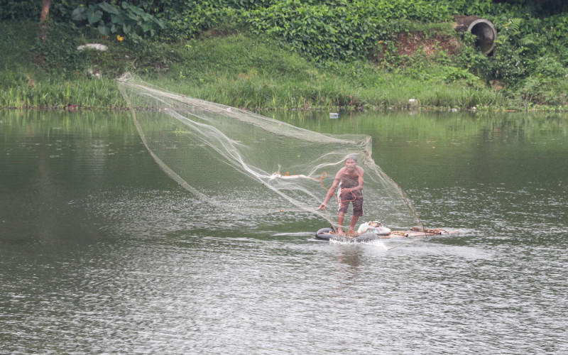 Sektor Pengolahan Perikanan Mendapatkan Dana Paling Besar Dari PMA
