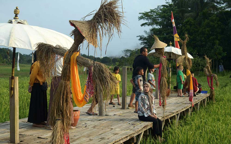 Festival Bebegig Sawah di Bekasi Digelar Untuk Menyambut Panen Raya
