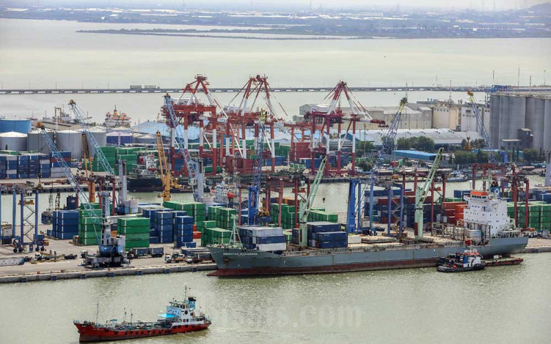 PT Pelindo Terminal Petikemas (SPTP) Terus Memacu Transformasi di Seluruh Area Kerja - Bisnis.com