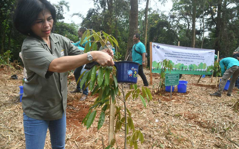 Mandiri Sekuritas Tanam Pohon Asuh di IPB