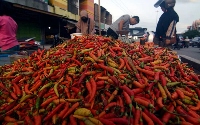 Harga Cabai Rawit Melonjak Hingga Rp80.000 Per Kilogram