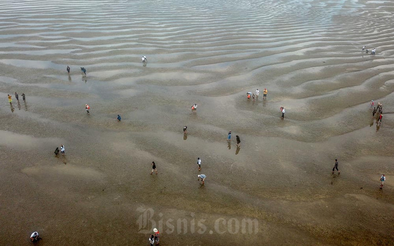 Festival Kampung Laut di Jambi - Bisnis.com