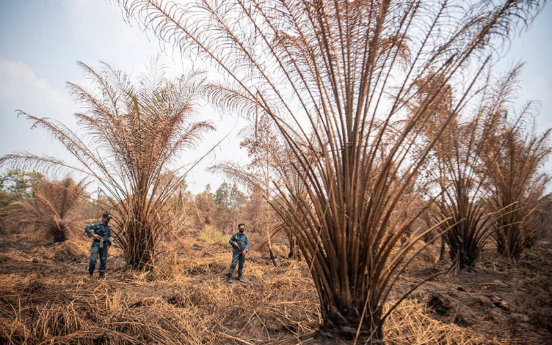 KLHK Menyegel Lahan PT Sampoerna Agro Tbk. Akibat Kebakaran Lahan di OKI Sumsel