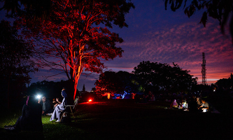 Pertunjukan Video Mapping Pohon Mendongeng