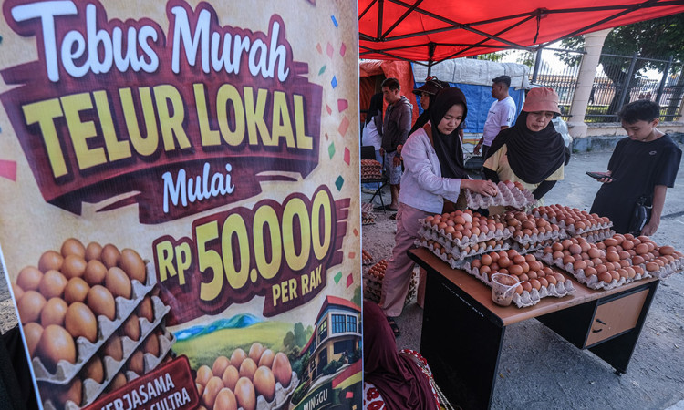 Operasi Pasar Telur Murah, Perumda Sultra Sediakan 2.000 Rak untuk Warga