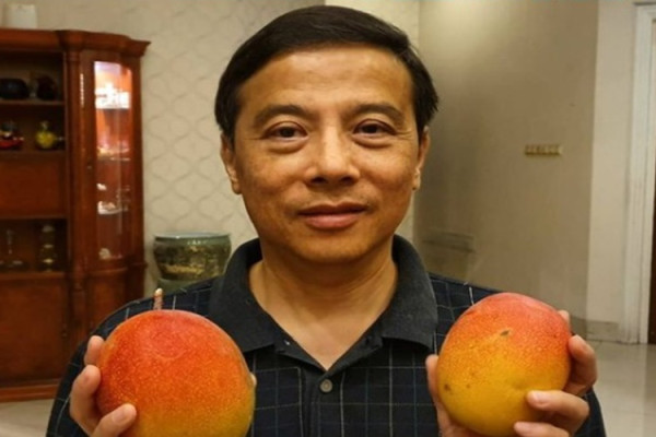 Kisah Wirawan Hartawan, dari Kejayaan Disc Tarra Hingga Menjadi 'Petani ...