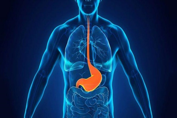 Simak Penyebab, Gejala dan Cara Mencegah Gerd