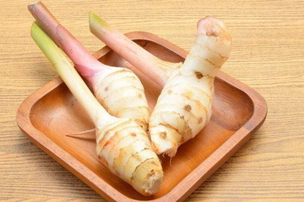 Ini 10 Manfaat dan Khasiat Lengkuas Bagi Kesehatan Tubuh