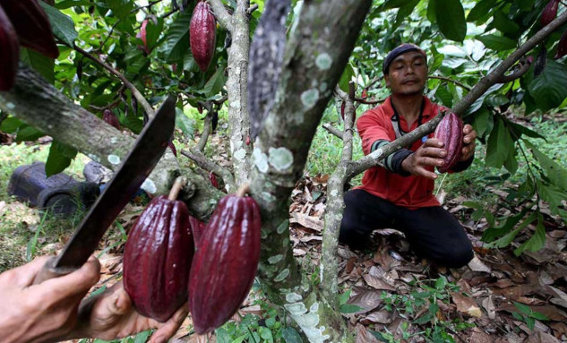 Berita Bisnis dan Artikel Premium Hari Ini