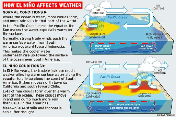 Ancaman El Nino Berlanjut Hingga 2024, Bagaimana Nasib Bumi?